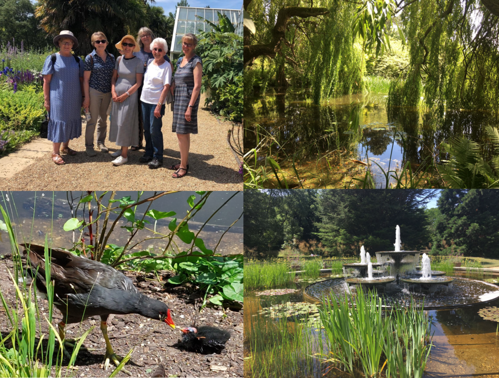 Visit to Cambridge University Botanic Garden - NWR