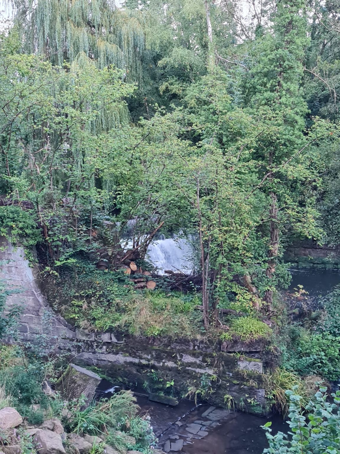 Congleton Hydro - NWR