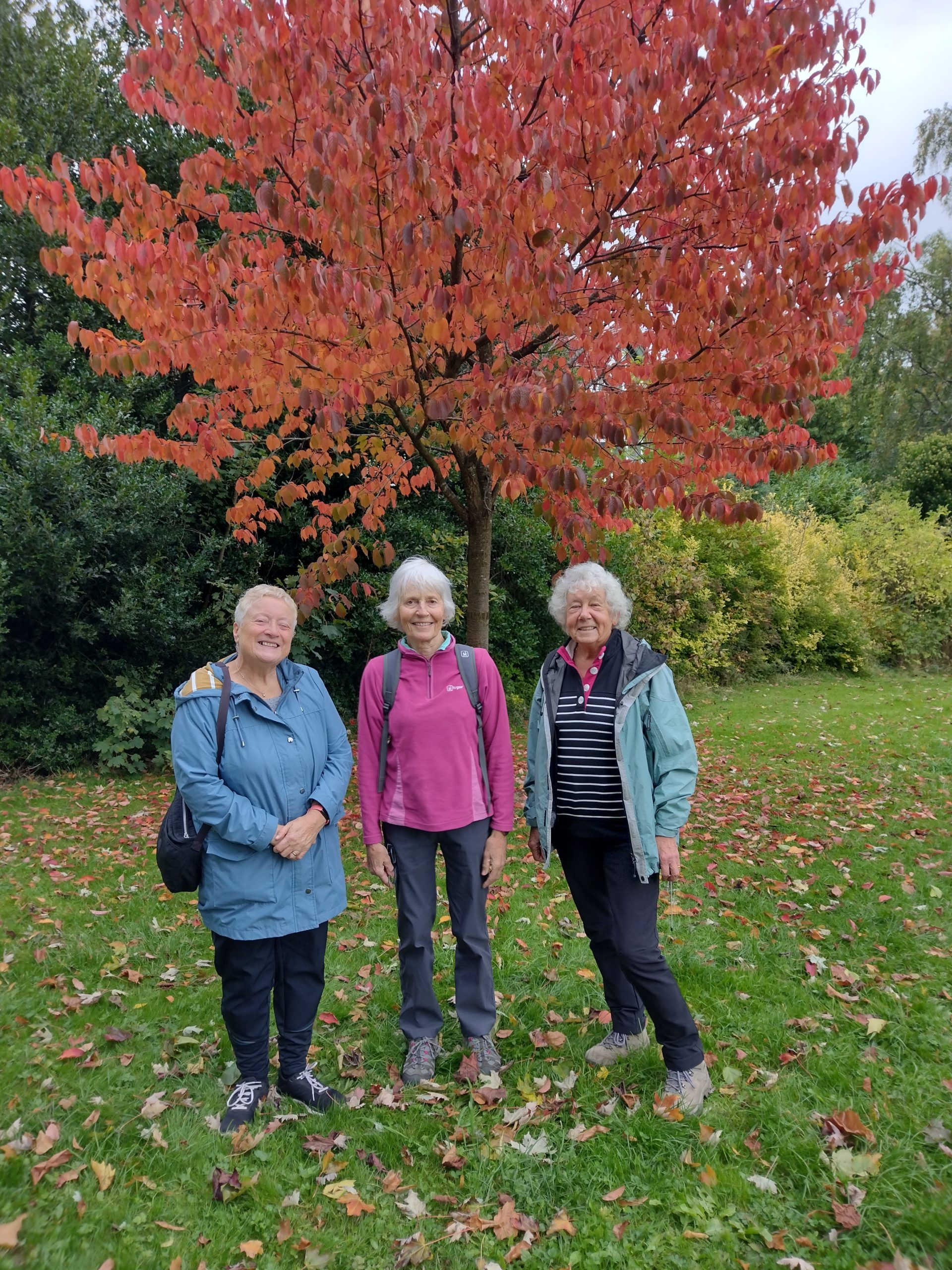 The NWR Walk 2022 - Making Strides Together - NWR
