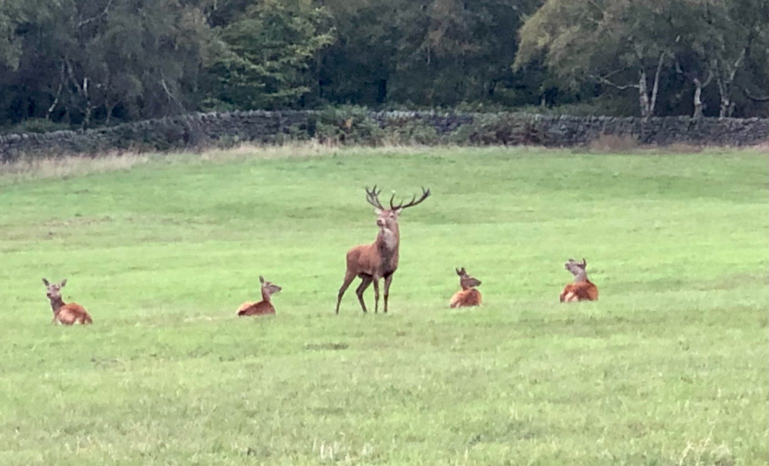 The NWR Walk 2022 - Making Strides Together - NWR