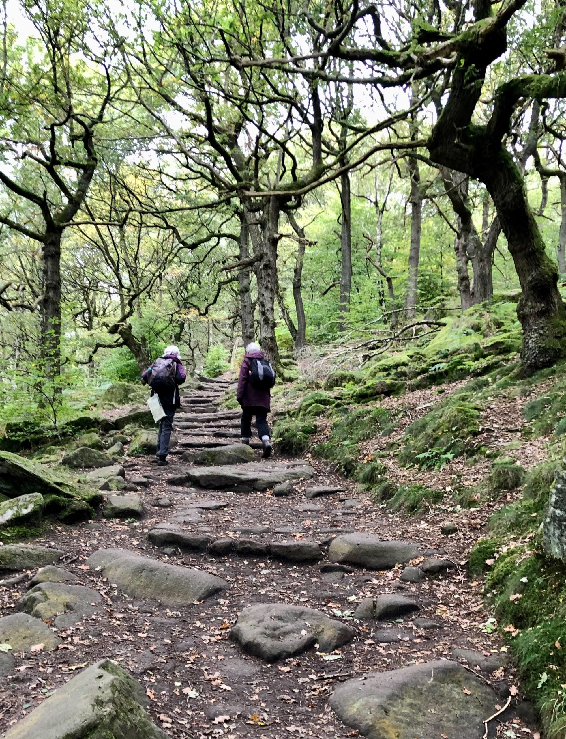 The NWR Walk 2022 - Making Strides Together - NWR