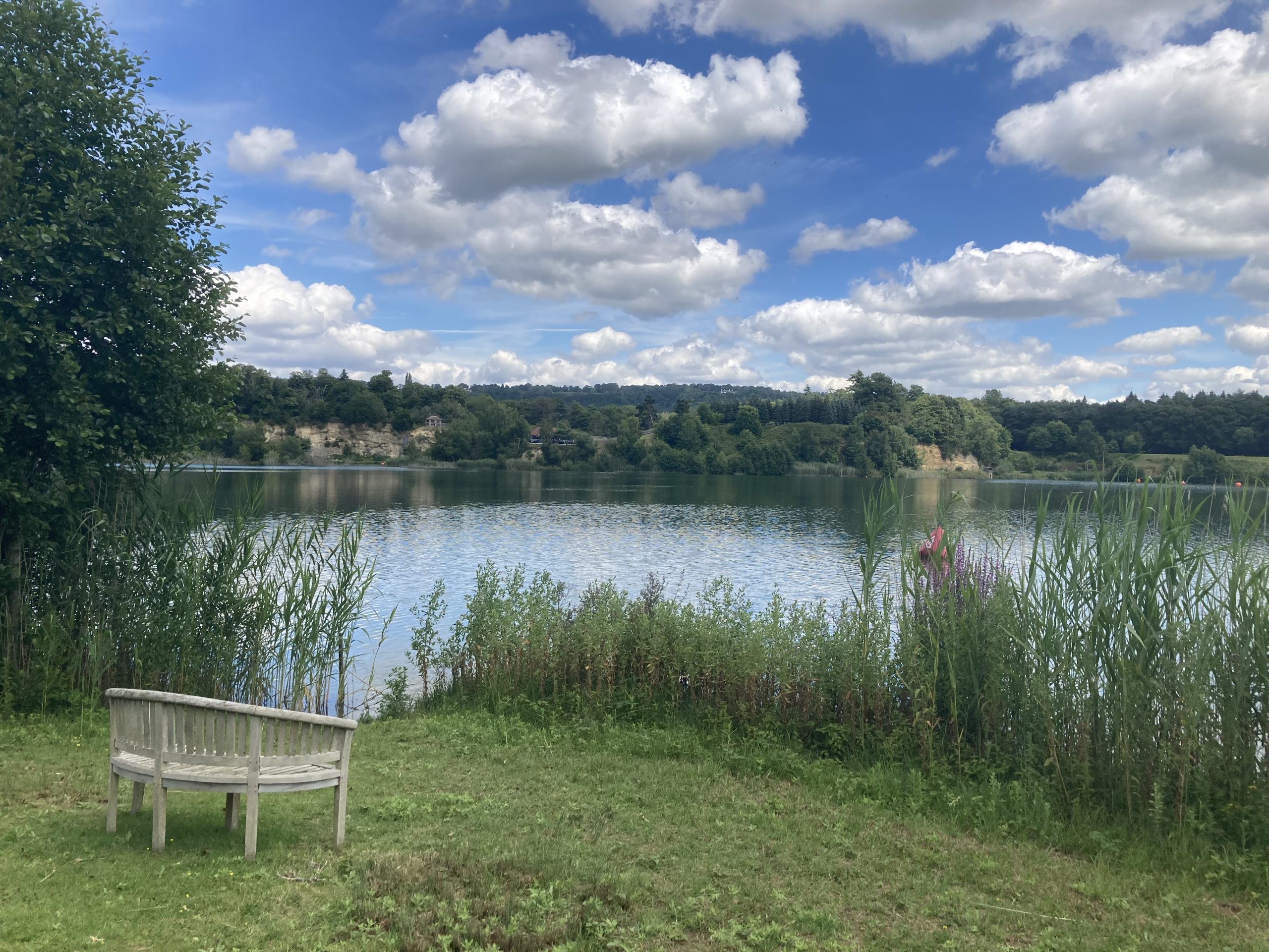 Bookham NWR Walk around Buckland Park Lake - September 2024 - NWR